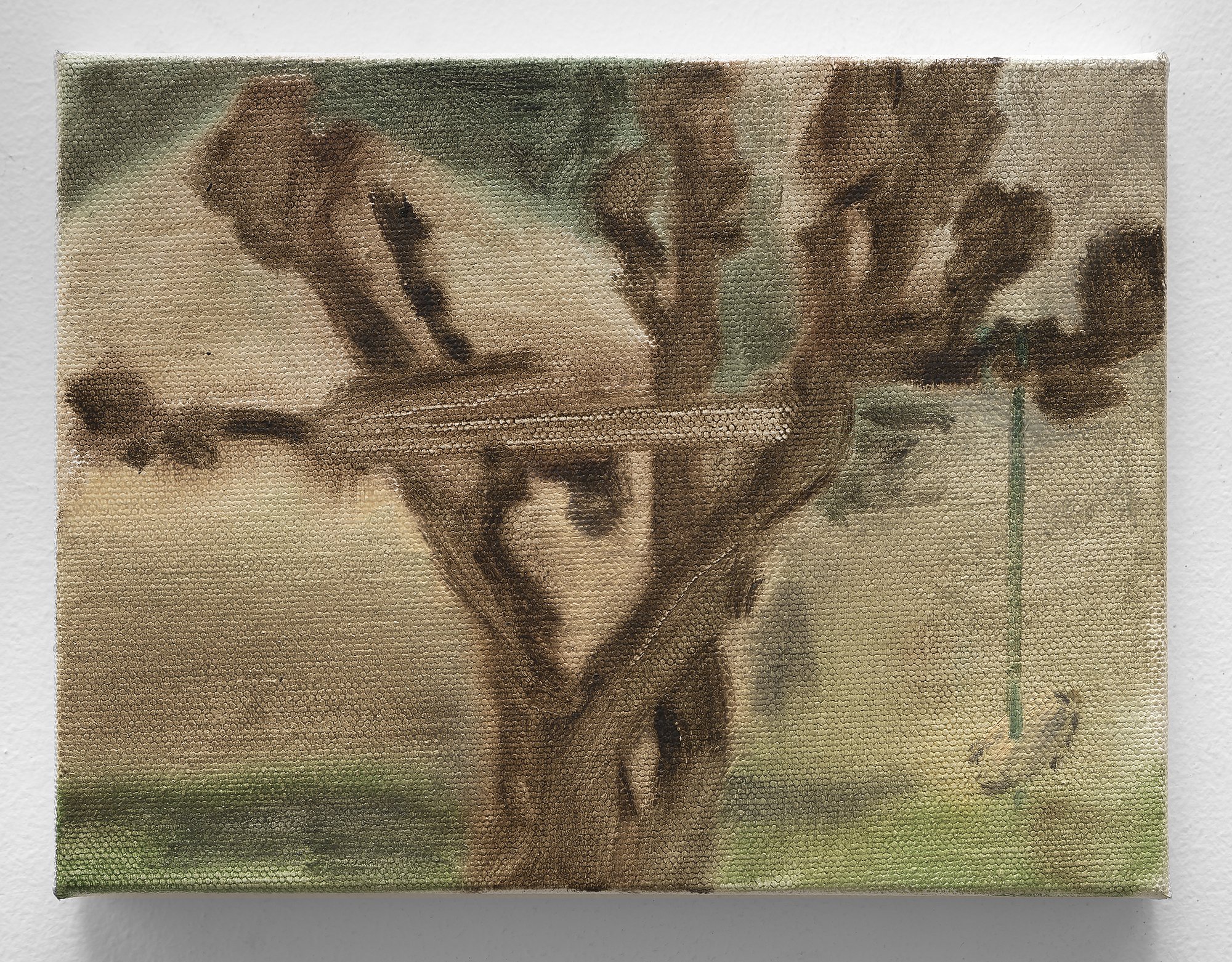 The Live Oak and Other Indigenous Trees of California - Bridge Projects ...