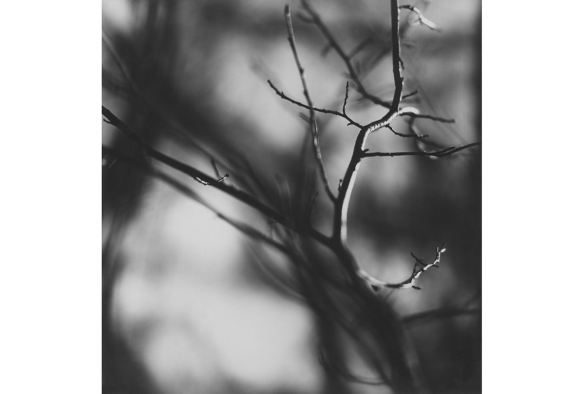 Artists - Bridge Projects | A contemporary gallery with programs on art ...